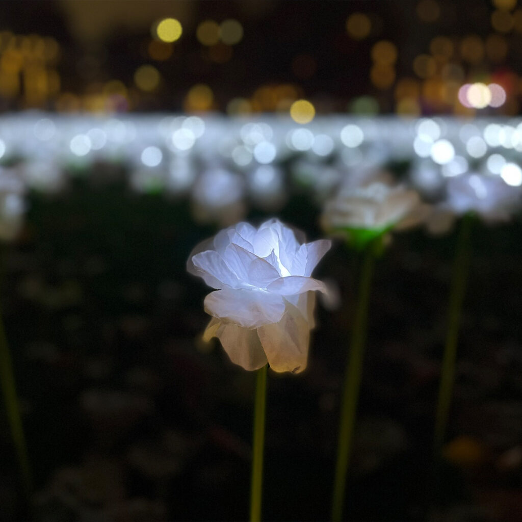 Exploring Grosvenor Square's Ever After Garden In London